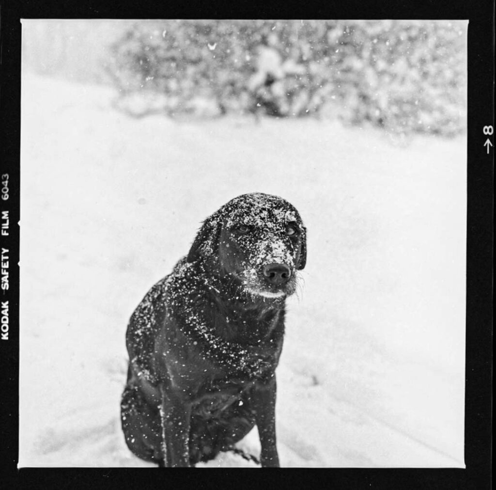 snow face – Black and White