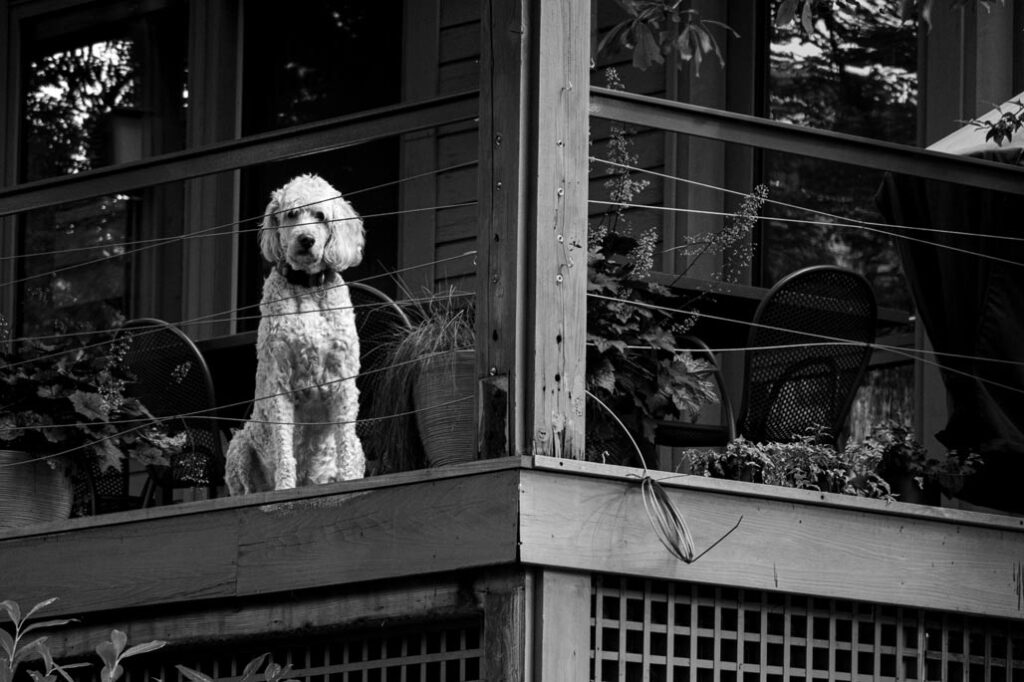 Black and White – photography from the Chesapeake Bay watershed by Bill ...