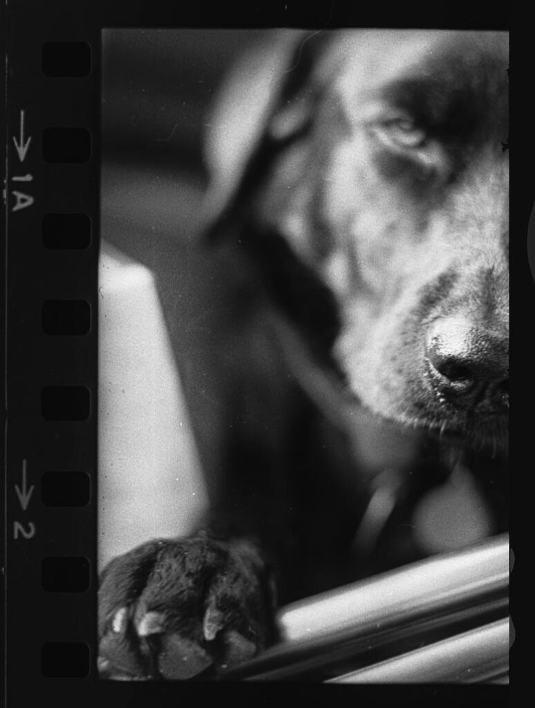 Black and White – photography from the Chesapeake Bay watershed by Bill ...